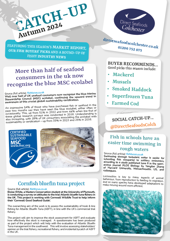 Seafood Suppliers | Direct Seafood Colchester : Direct Seafoods Colchester