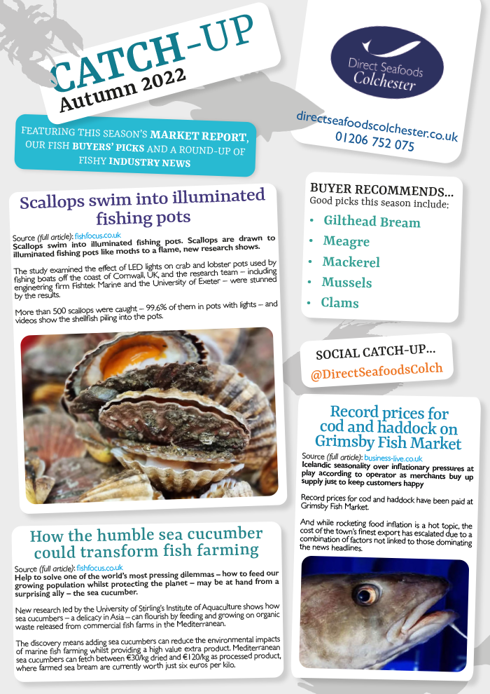 Seafood Suppliers | Direct Seafood Colchester : Direct Seafoods Colchester