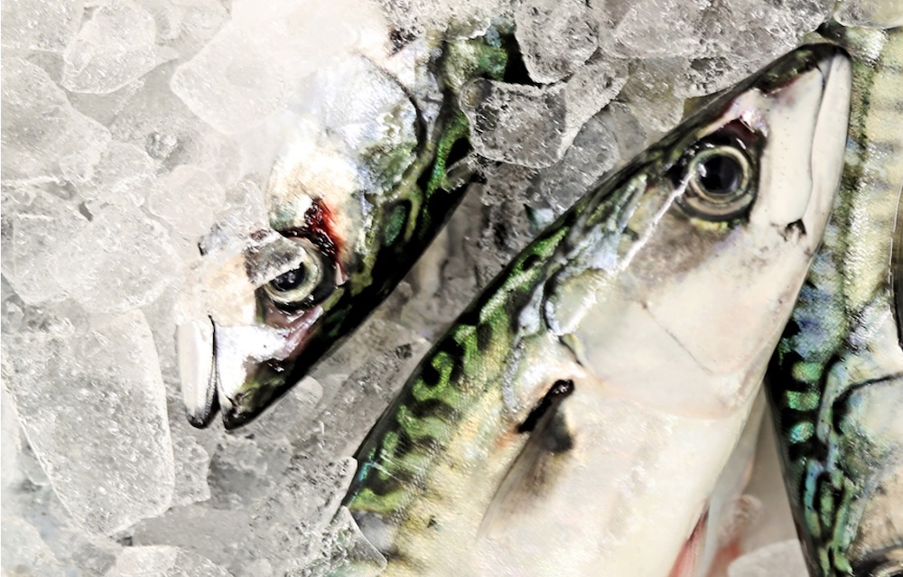 Our Story | Direct Seafoods Colchester : Direct Seafoods Colchester