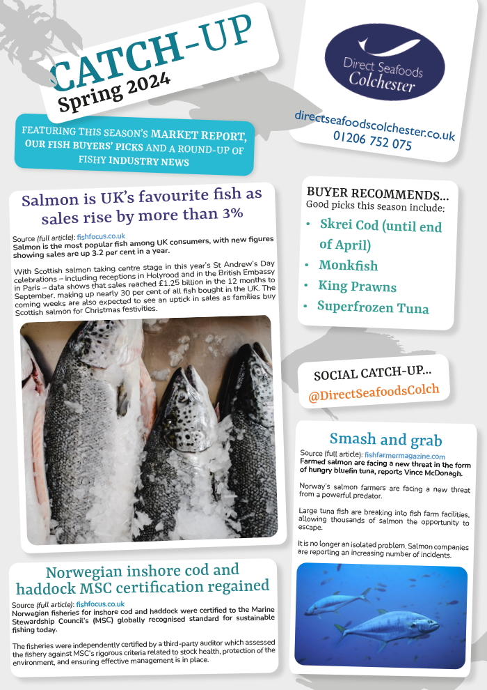Seafood Suppliers | Direct Seafood Colchester : Direct Seafoods Colchester