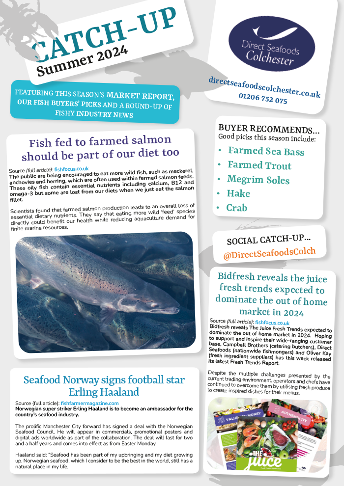Seafood Suppliers | Direct Seafood Colchester : Direct Seafoods Colchester